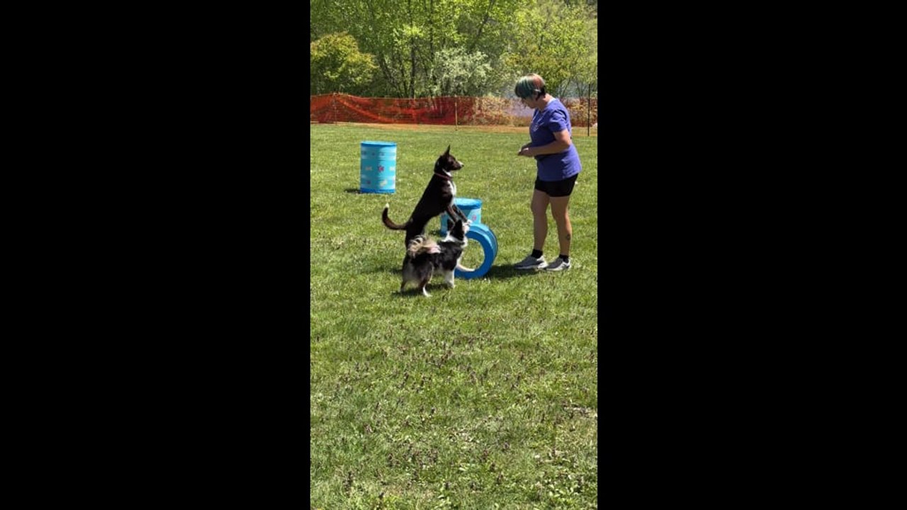 Tesla And Spirit Show Teamwork - video Dailymotion