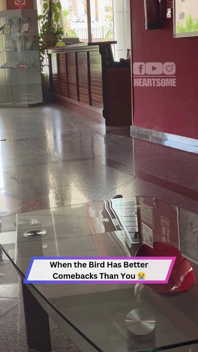He Whistled at a Pigeon… Then It Talked Back Like a Parrot 😳😂 - video ...