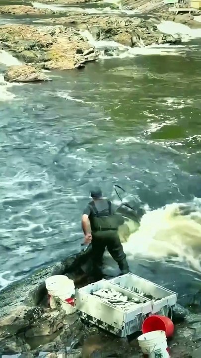 Amin Khan - video Dailymotion