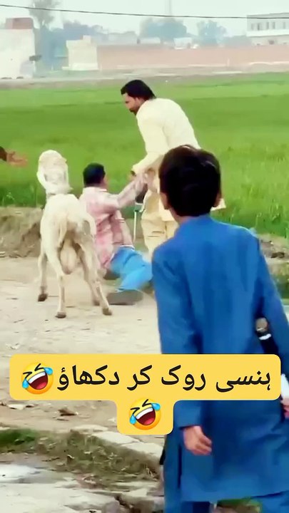 Funny - video Dailymotion