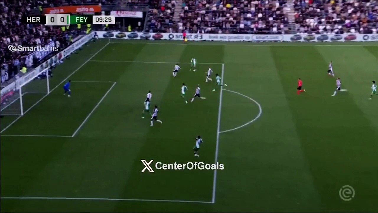 B u t H a d j M o u s s a v s H e r a c l e s - Vidéo Dailymotion