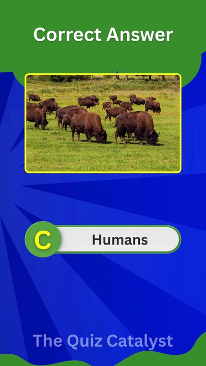 Bison Quiz: 4 USA History Questions Only Experts Can Answer! 🦬🇺🇸 ...