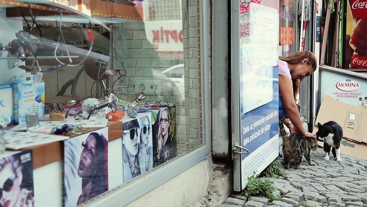 Kedi (2016) - Full Film (Belgesel) - Dailymotion Video