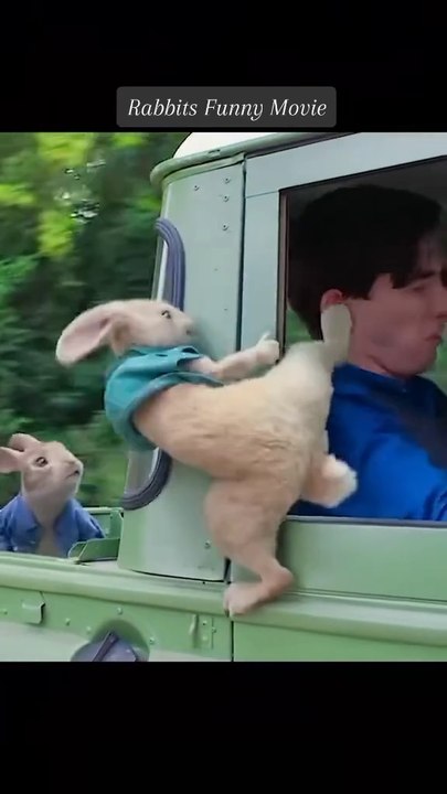 Rabbits Funny Movie Tom and Jerry #LaysEverywhere #funnyvideomalik7 ...