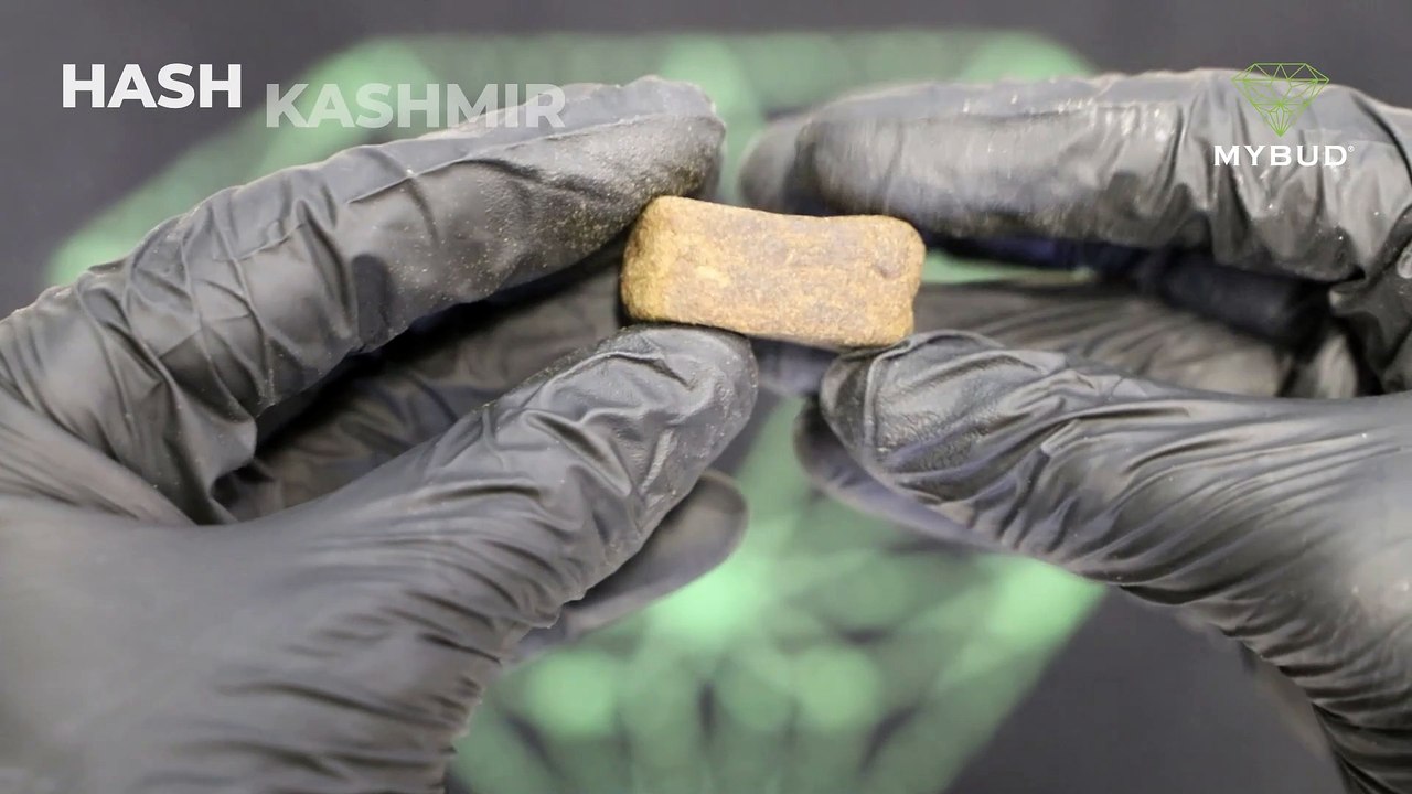 Hash Kashmir CBD – Résine artisanale et héritage du Cachemire - Vidéo ...