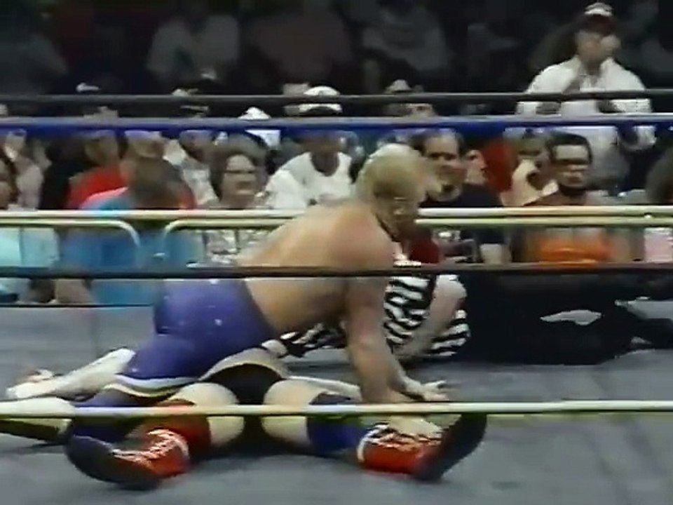 WCW Power Hour - 07/20/91 (VHS Rip) - video Dailymotion