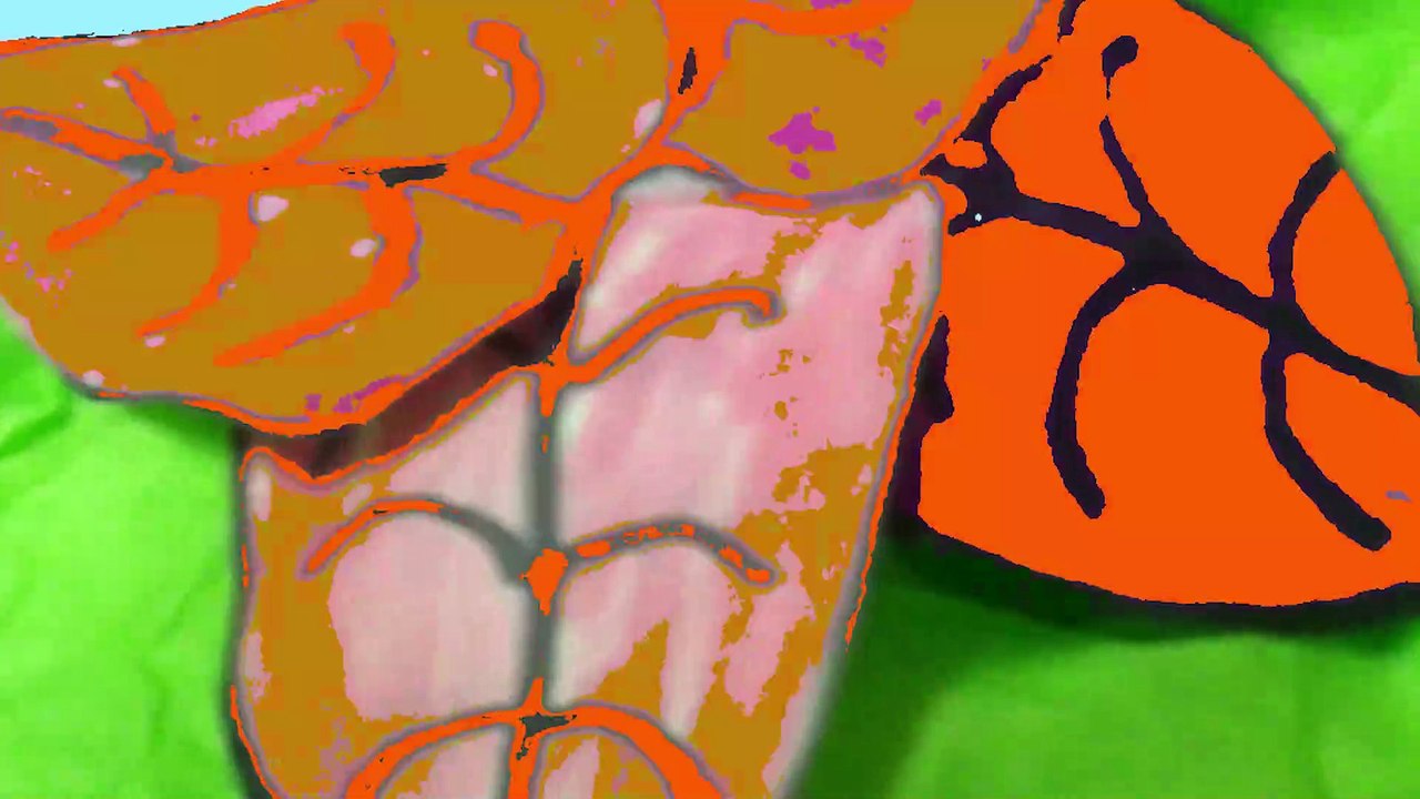 The Mysterious Flower That Shook The World ( 2025 ) by Erica Crooks ...