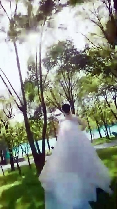 THE SURROGATE BRIDE - Video Dailymotion