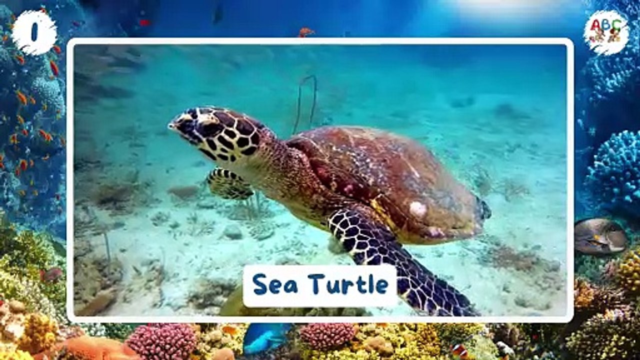 100 Sea Animals for Kids | Learn Sea Animals Names | Sea Creatures for ...