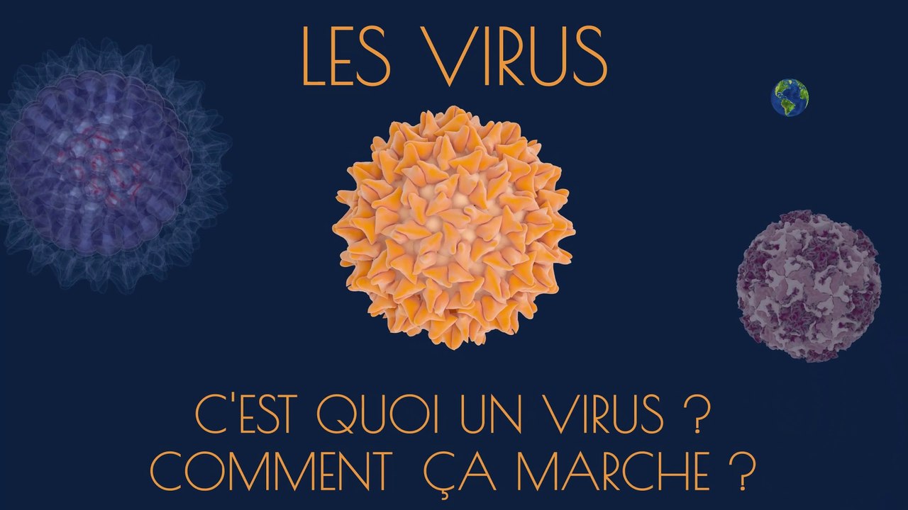 C'est quoi un virus ? Et comment ça marche ? 🦠 - Vidéo Dailymotion
