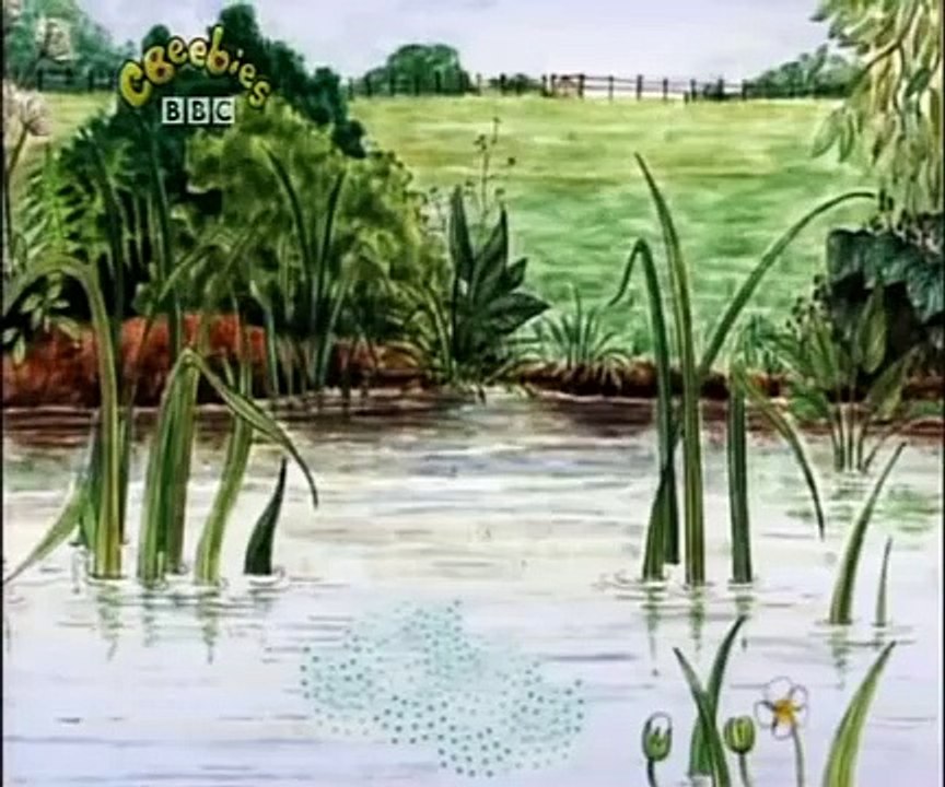 Come Outside - Frogs - video Dailymotion