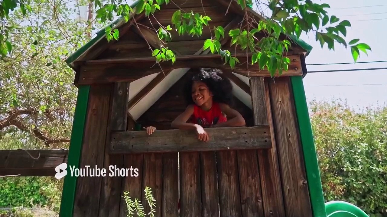 These Are The Different Reasons Why People Built Treehouse List Lab ...