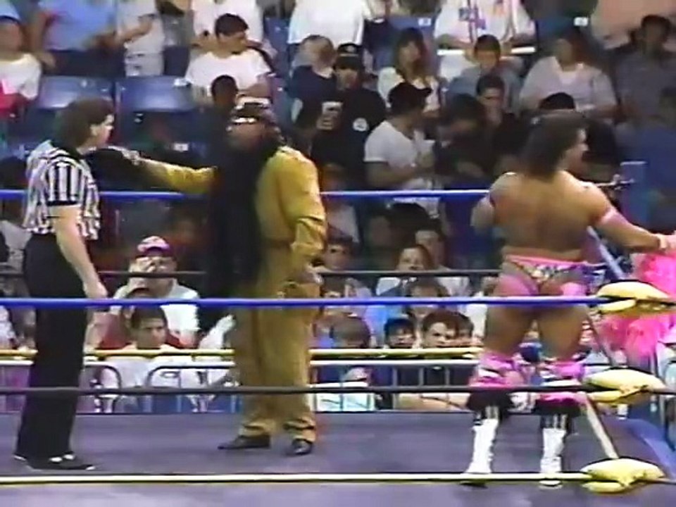 WCW Power Hour - 10/12/91 (VHS Rip) - video Dailymotion