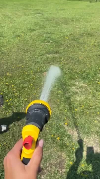 Dog Loves Trying to Bite Water From Hose - video Dailymotion