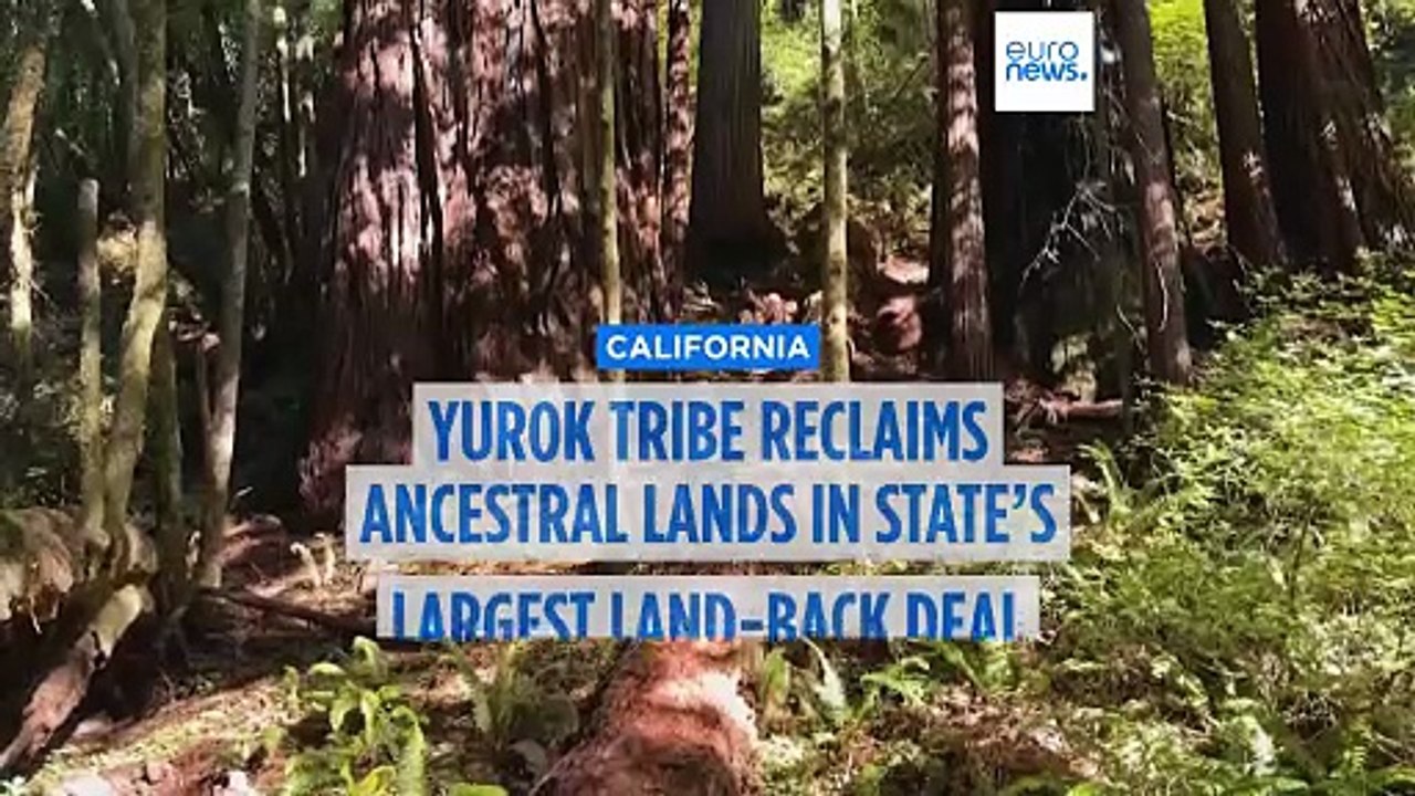 Yurok tribe reclaims ancestral territory in California's largest ever ...
