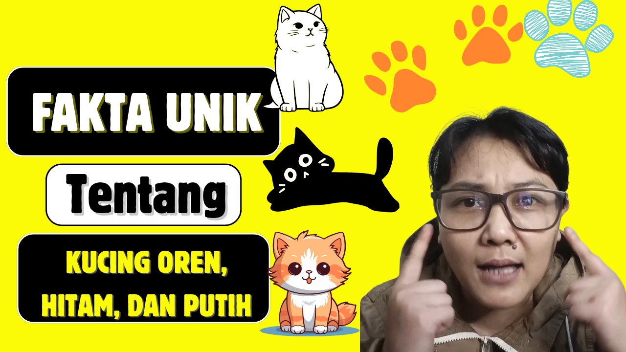 Fakta Unik tentang Kucing Oren, Hitam, dan Putih - Video Dailymotion
