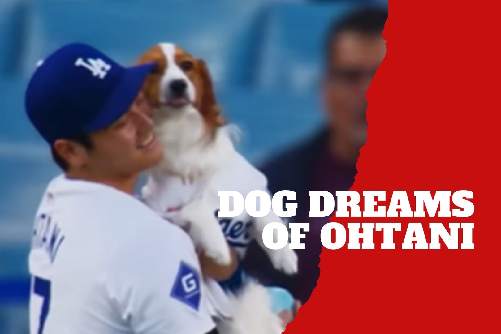 Shohei Ohtani is every dog?s dream owner in a hilarious MLB video ...