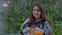 Pal Do Pal ep 1 Pakistani drama - video Dailymotion