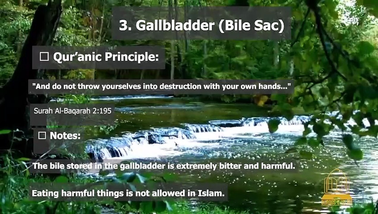 Slaughtering Animals in Islam - video Dailymotion