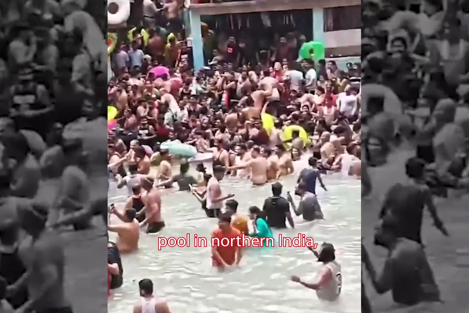 Snakes swim with unsuspecting crowd in packed india pool, chaos erupts ...