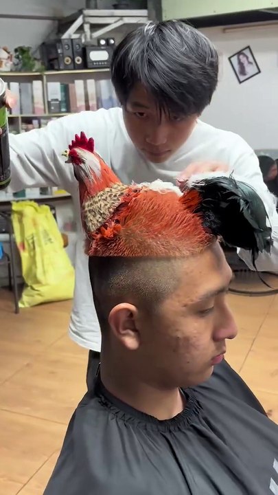 Chicken hairstyle is the latest trend.hd - video Dailymotion