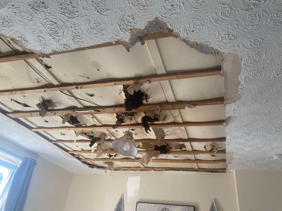 I live in fear of my ceiling falling down at any moment - video Dailymotion