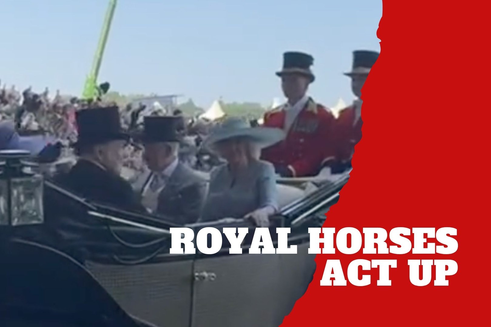 Queen Camilla and King Charles carriage horses show rebellious moves of ...