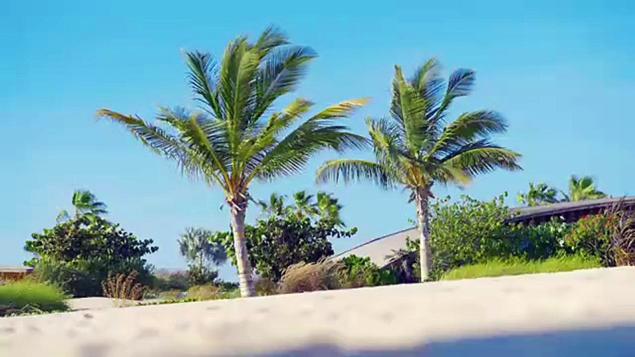 The Story Continues… - video Dailymotion