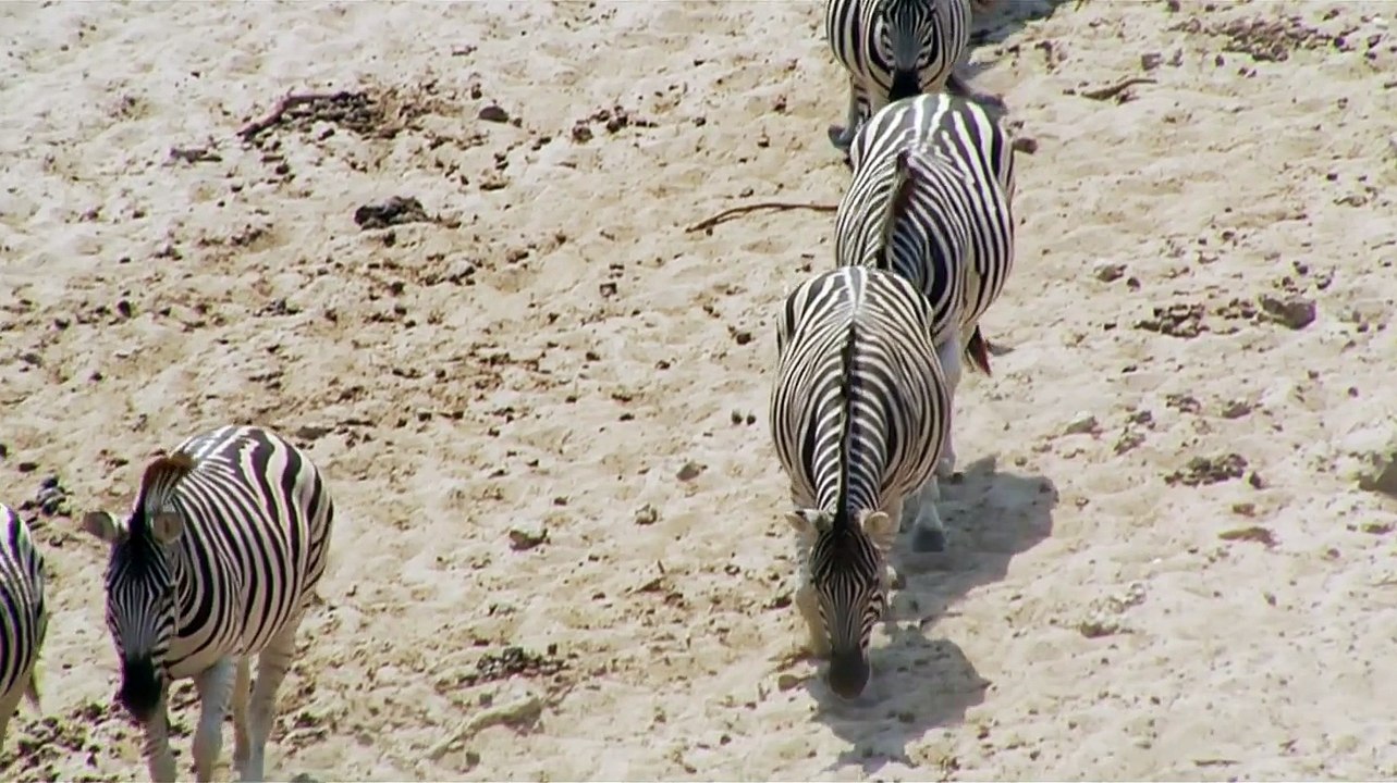 Natures Great Events_5of6 The Great Flood - video Dailymotion