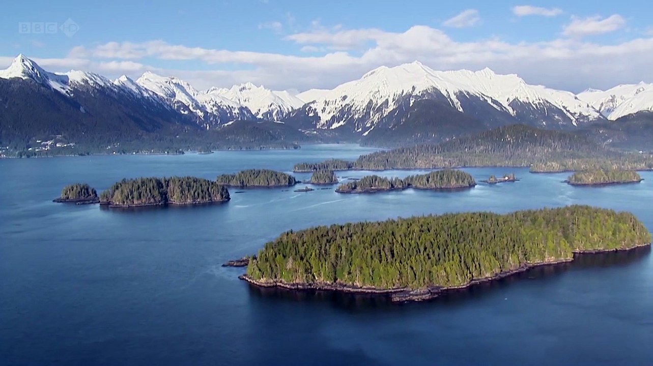 Natures Great Events_6of6 The Great Feast - video Dailymotion