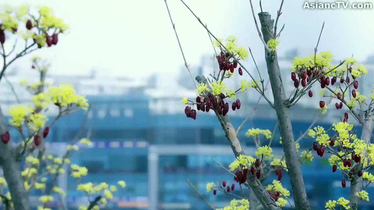 [ENG] EP.9 Sweetheart Service (2025) - video Dailymotion