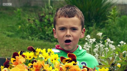 Cbeebies Get Well Soon And Cbeebies Balamory by Courtney Edward's Greg ...