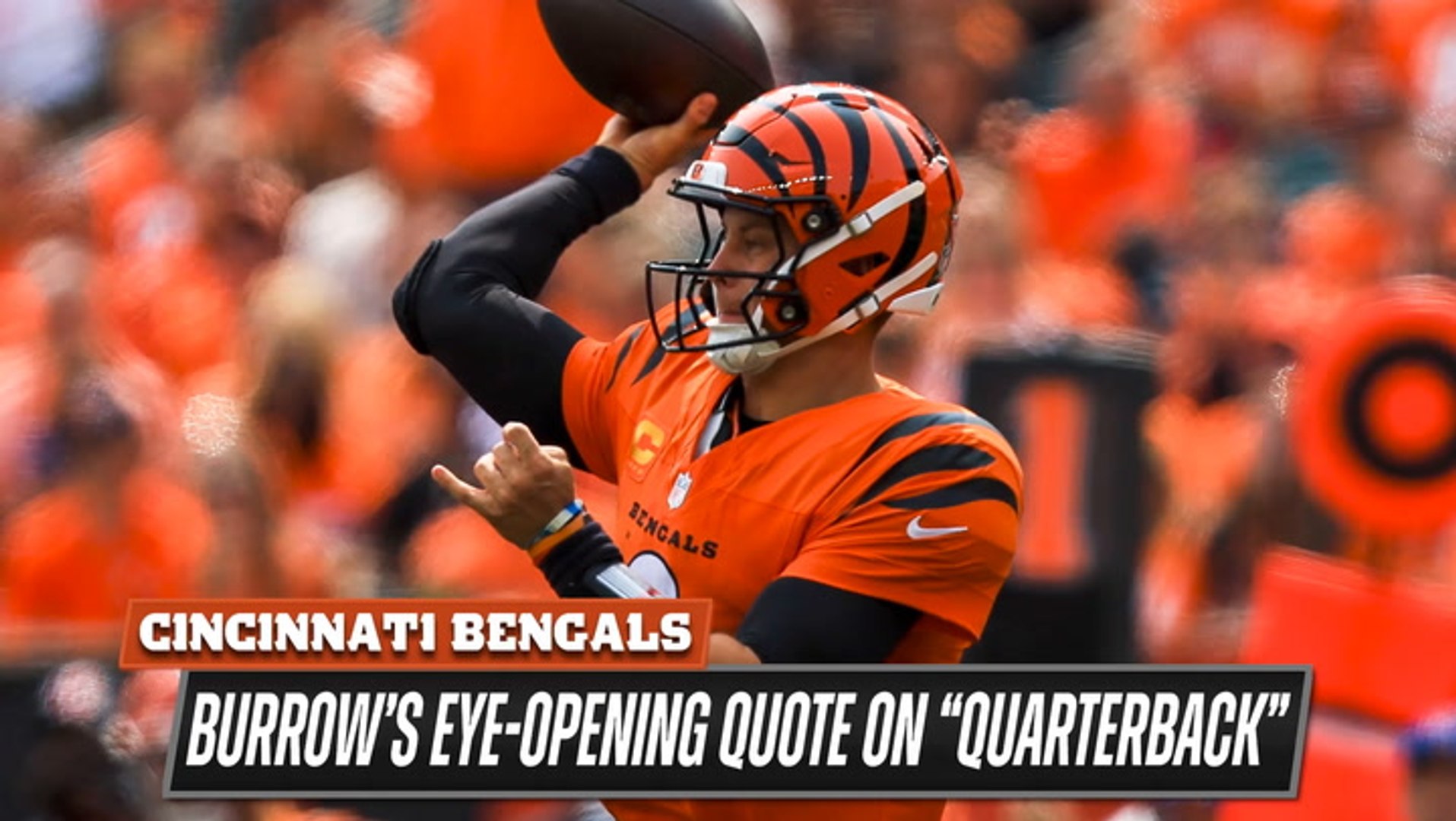 Bengals Quotes