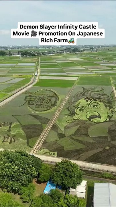 Massive rice paddy artwork in Gyoda, Japan, depicting Tanjiro from ...