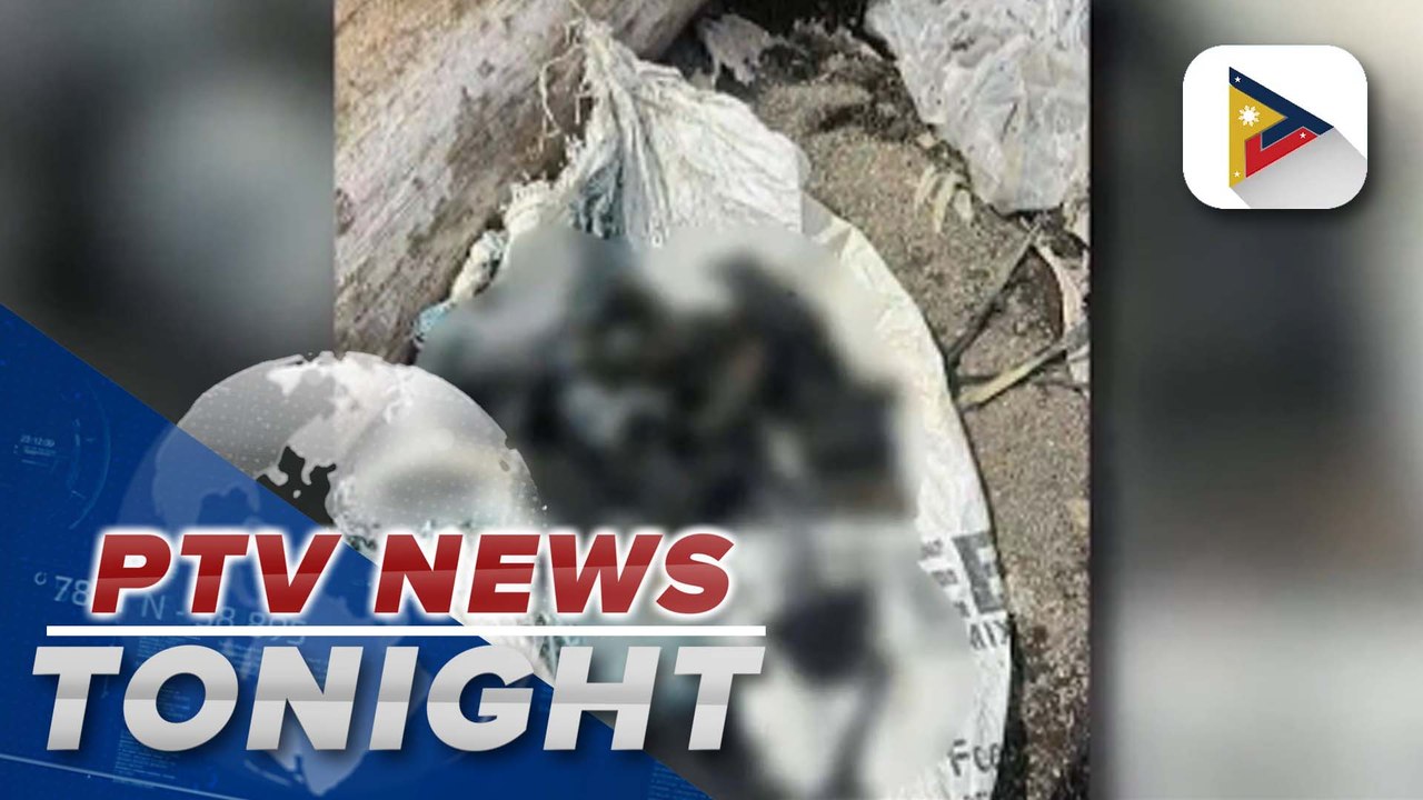 Authorities found bones during initial technical inspection in Taal Lake - video Dailymotion