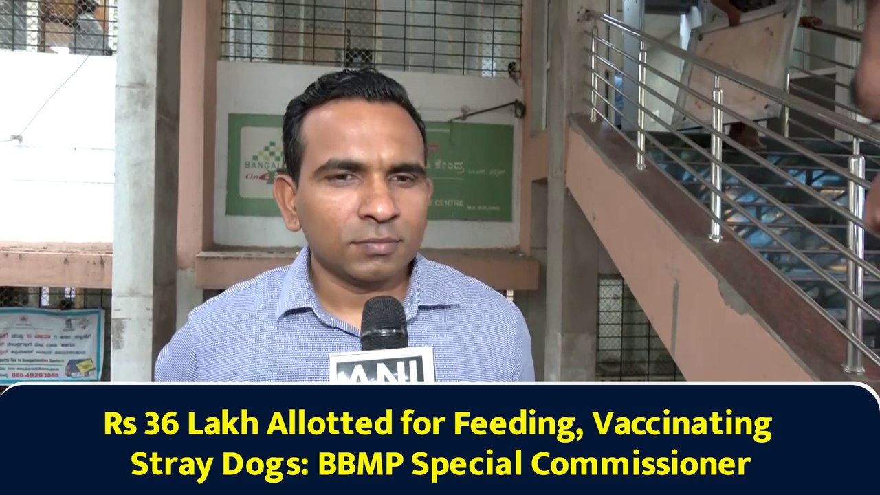 Rs 36 Lakh Allotted for Feeding, Vaccinating Stray Dogs: BBMP Special ...