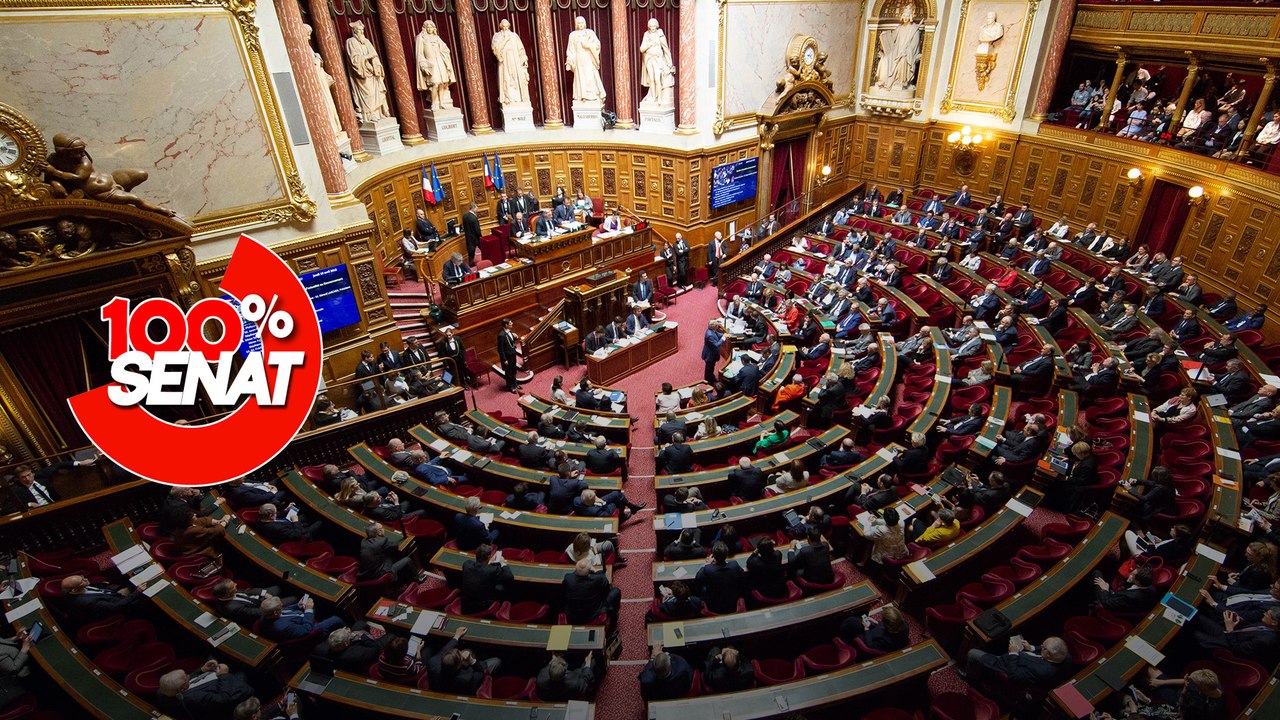 Réforme de l'audiovisuel public : le Sénat adopte le texte - 100% Sénat - Public Sénat