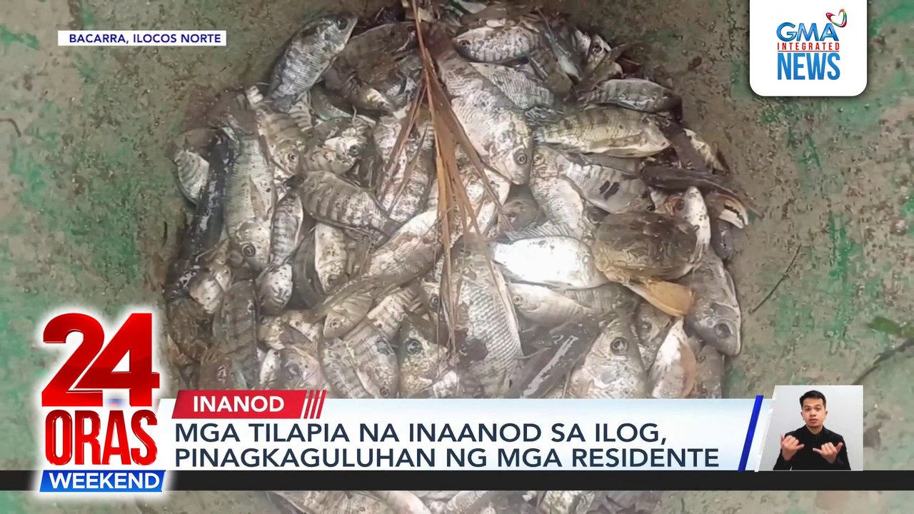Mga tilapia na inanod sa ilog, pinagkaguluhan ng mga residente | 24 ...