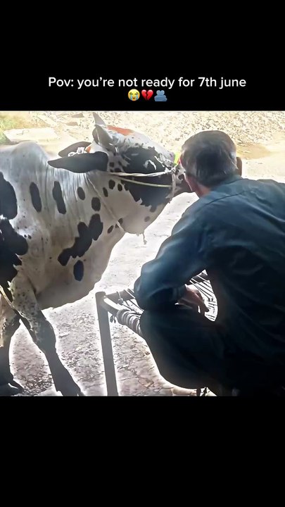 Bakra Eid 2025 | Qurbani Moments & Celebration Highlights - video ...