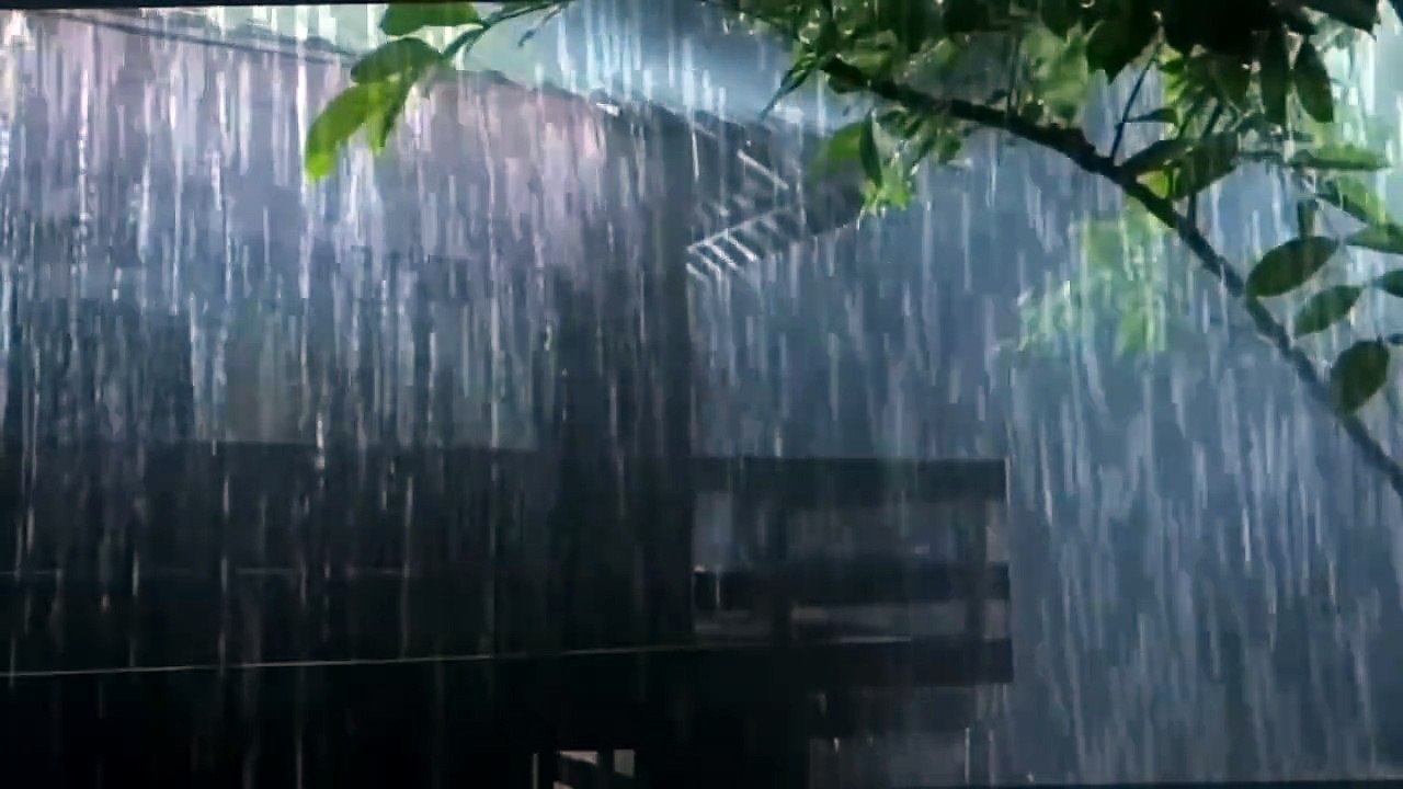 20 Minutes of Calming Rain Sounds: Deep Relaxation, Faster Sleep ...