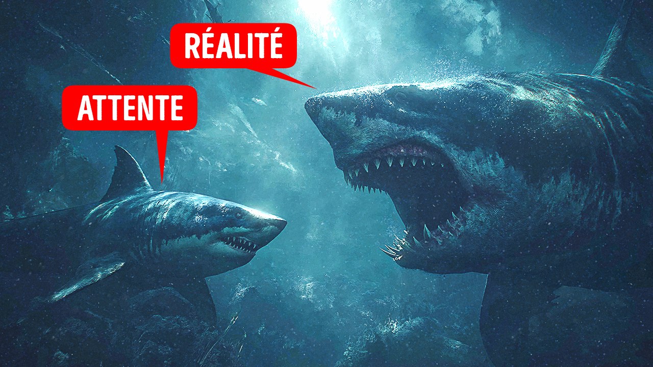 Le Mégalodon était bien plus terrifiant que les experts ne le pensaient ...