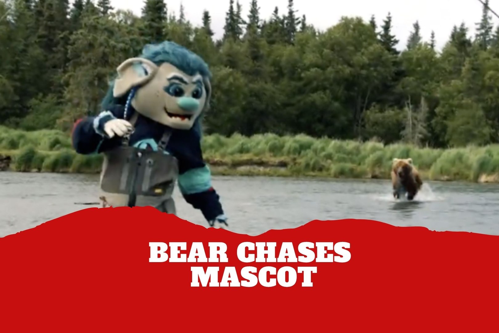 Seattle Kraken mascot almost gets attacked by a bear in scary ...