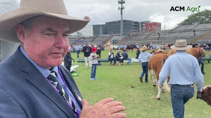 Simmental judging highlights with Terry Connor at Ekka 2025 ...
