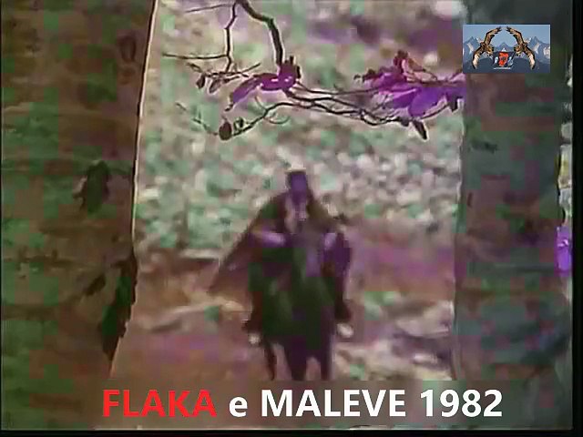 Flaka E Maleve