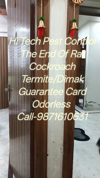 Pest Control Services The End Of Rat Cockroach Termite/DimakGuarantee ...