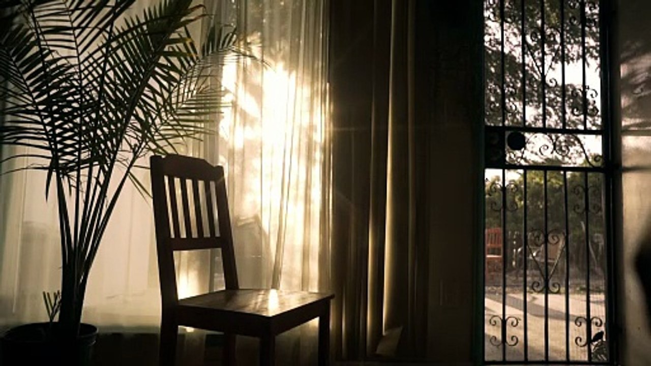 Home - video Dailymotion