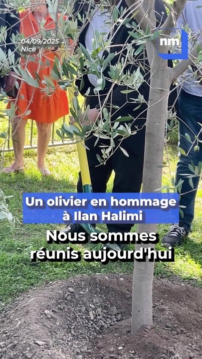 Nice : un arbre planté en hommage à Ilan Halimi près de 20 ans après ...