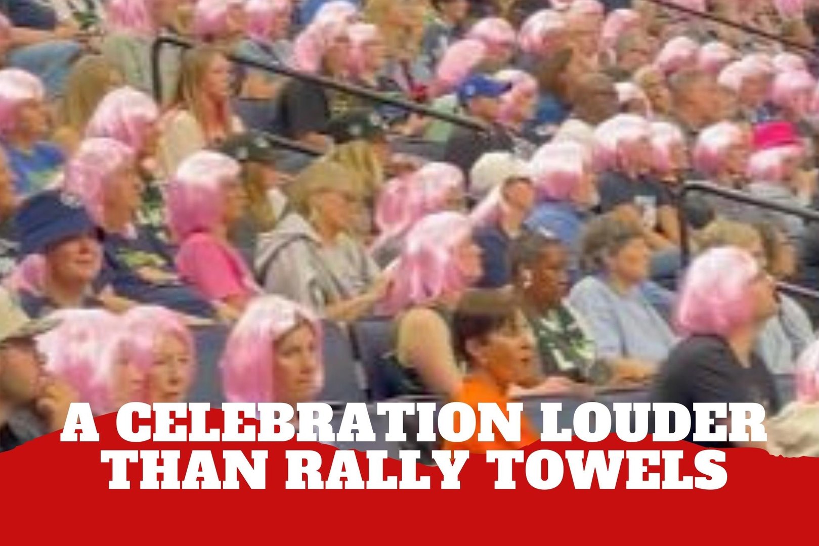 Lynx fans turn arena pink with wigs on Fan Appreciation Night - MARCA ...