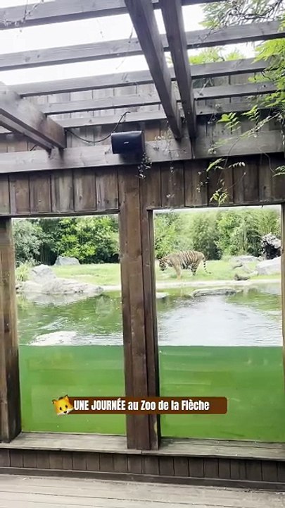 Une journée au Zoo de la flèche - Vidéo Dailymotion