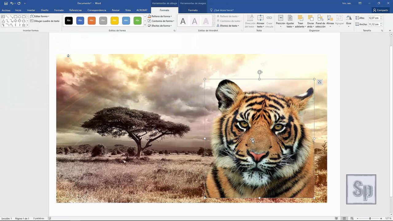 Word - Como hacer una imagen transparente en Word y guardarla. Tutorial ...